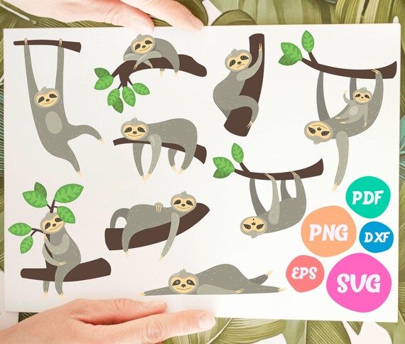 Sloth Svgsloth SVG Sloth Clipart Sloth SVG Bundle Cute | Etsy