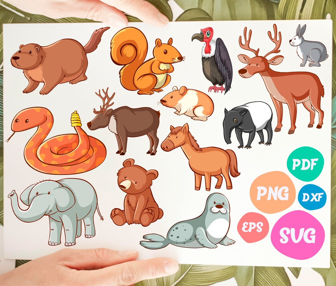 Wild Animals Svganimal Svg Bundle Animal Svg Animal - Etsy