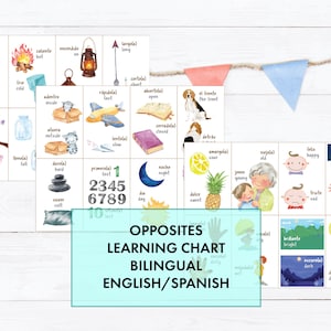 Learn Spanish | Opposites Chart Learning Activity | Bilingual Spanish ...