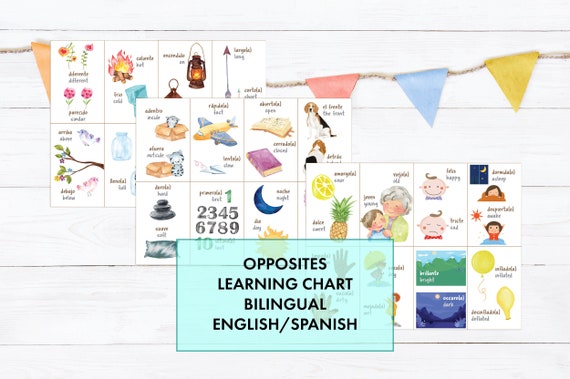 Learn Spanish Opposites Chart Learning Activity Bilingual | Etsy
