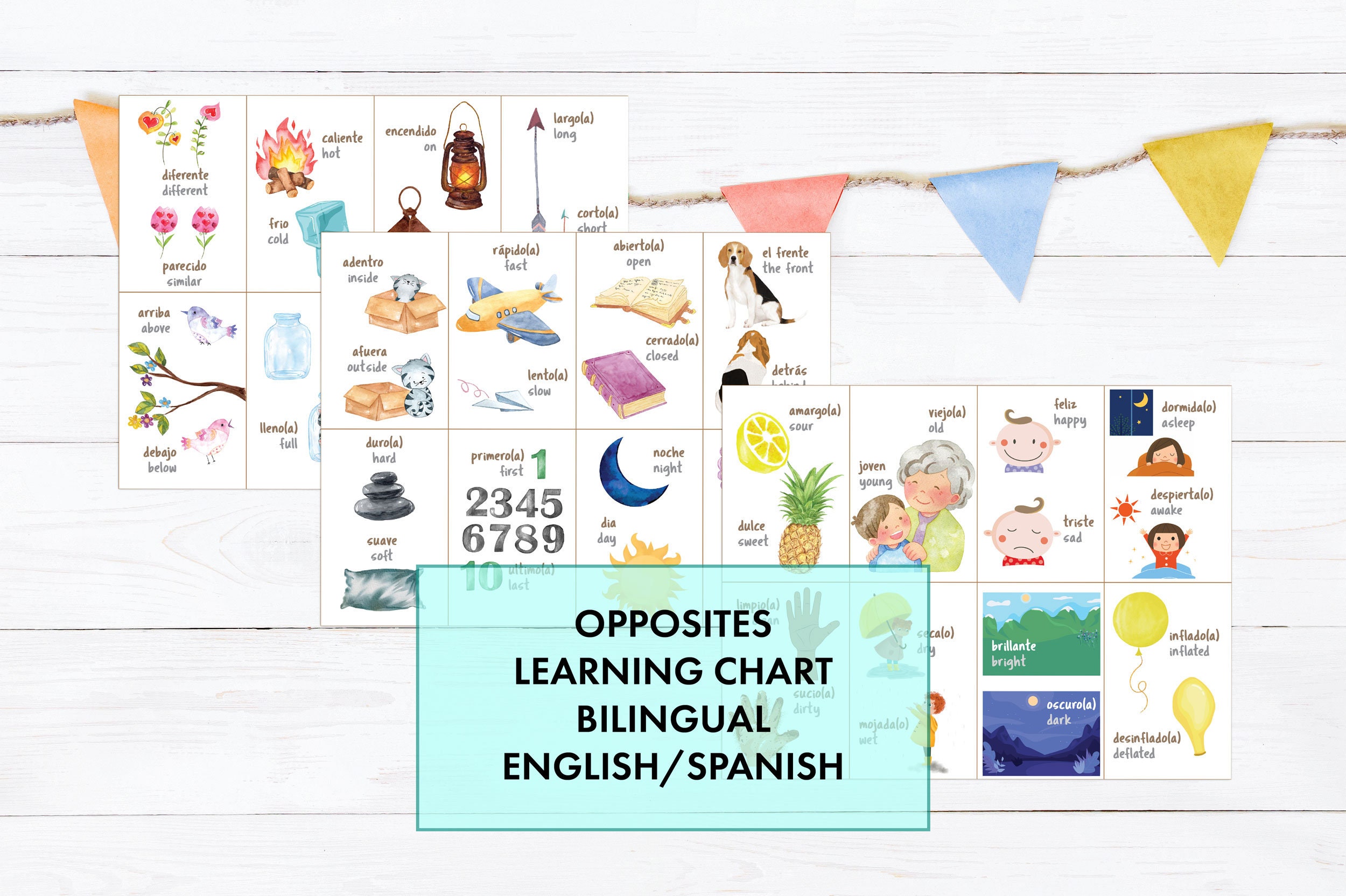 Learn Spanish | Opposites Chart Learning Activity | Bilingual Spanish ...