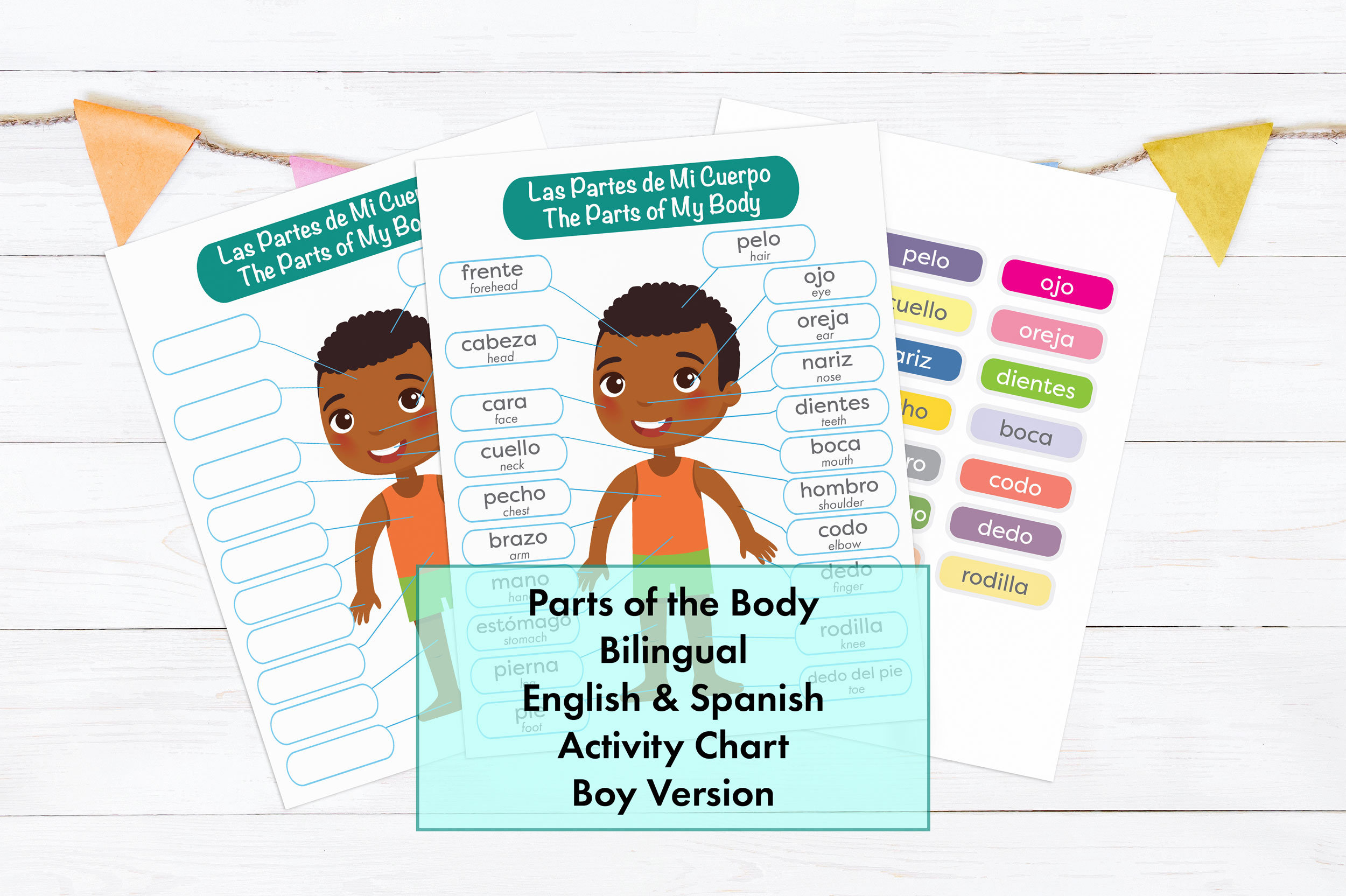 Learn Spanish | Body Parts Learning Activity | Bilingual Spanish ...