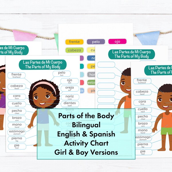 Boy and Girl Body Parts - Etsy