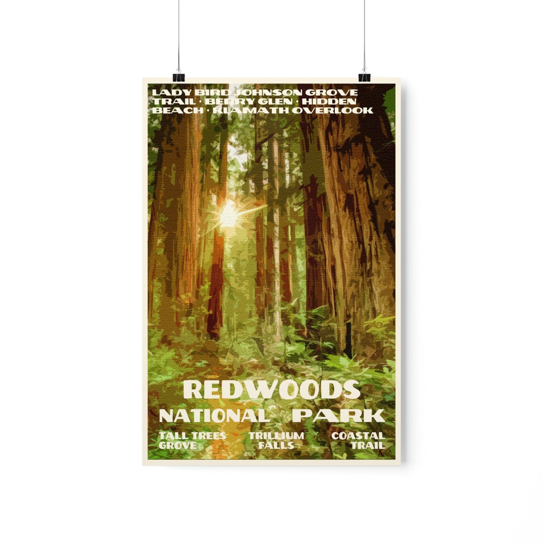 Vintage National Park Poster REDWOODS NATIONAL PARK John Muir - Etsy