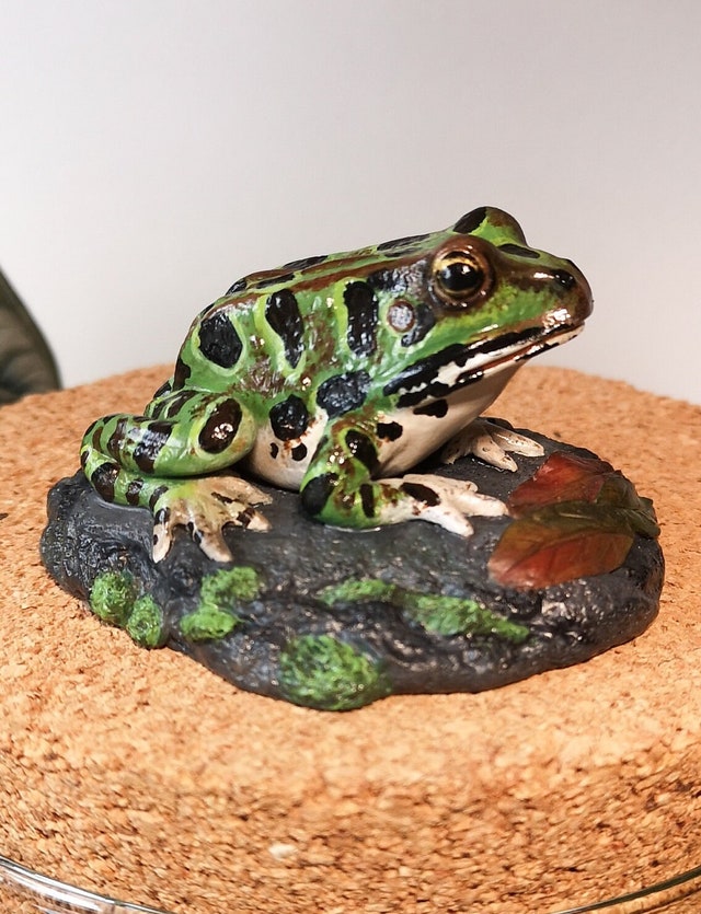 artbookofwildlife - Etsy.de