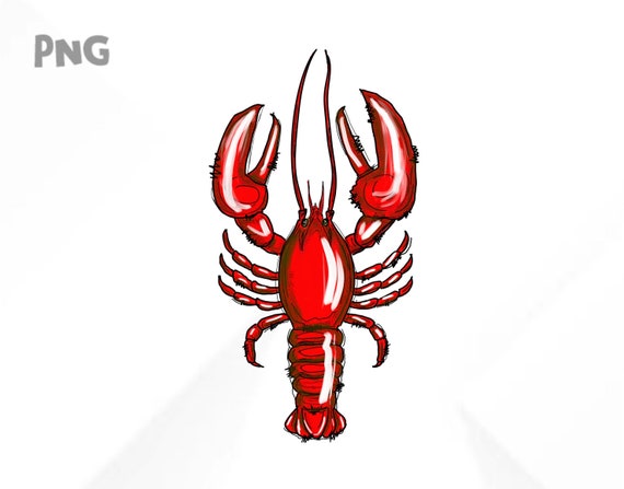 Crawfish Digital File PNG Files PNG Seafood Digital Files | Etsy