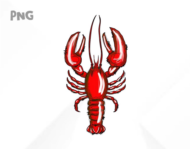 Crawfish Digital File, PNG Files, PNG, Seafood Digital Files, Crawfish ...