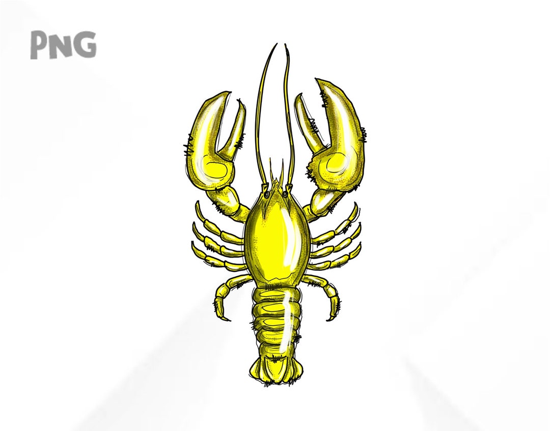 Crawfish Digital File, PNG Files, PNG, Seafood Digital Files, Crawfish ...
