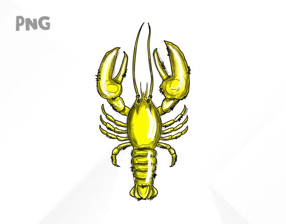 Crawfish Digital File PNG Files PNG Seafood Digital Files | Etsy