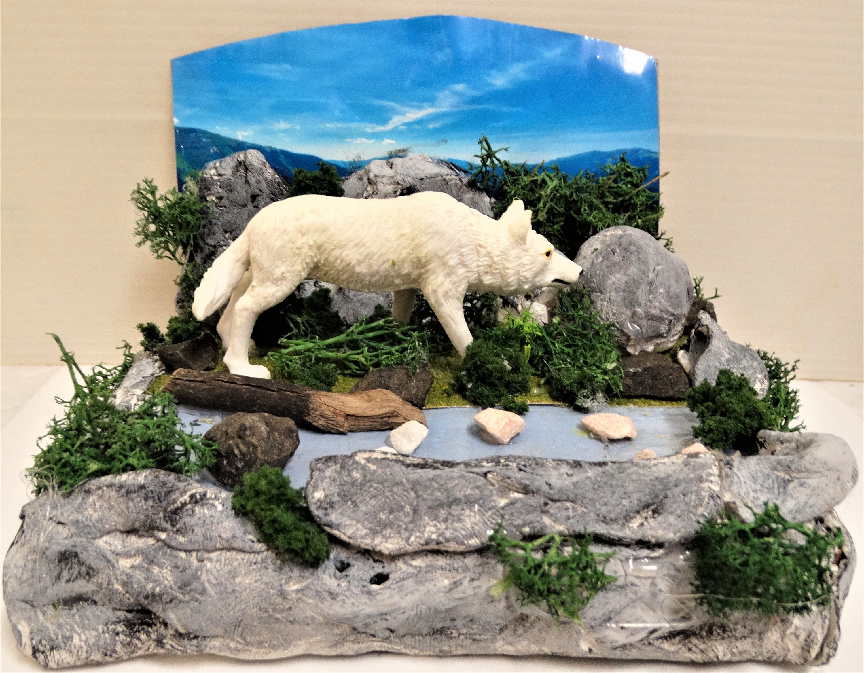 Gray Wolf Habitat Diorama