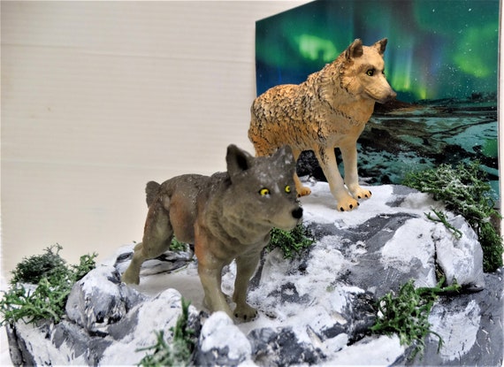 Gray Wolf Habitat Diorama