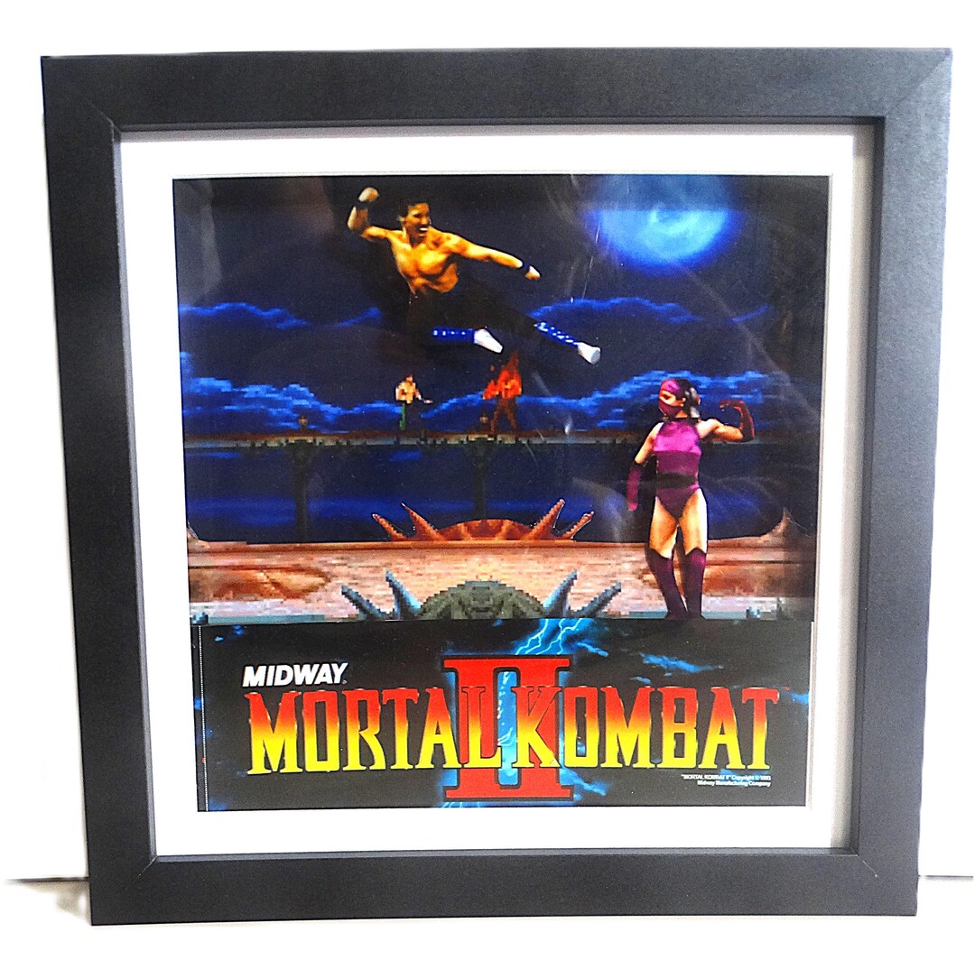 Mortal Kombat 2 Mileena & Johnny Cage at the Pit Ll 3d Shadow Box - Etsy