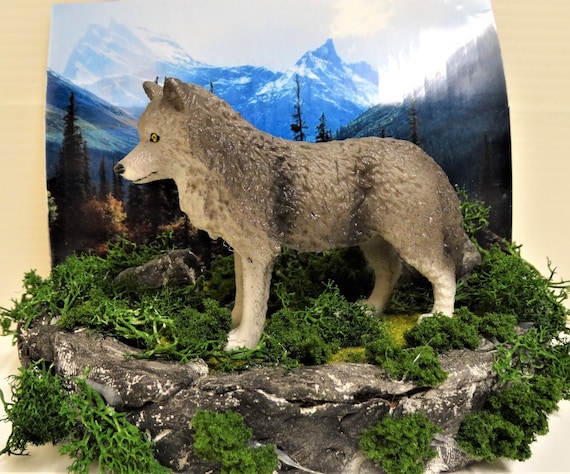 Gray Wolf Habitat Diorama
