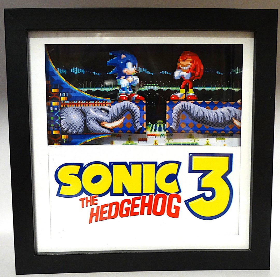 Sonic the Hedgehog 3d Shadow Box Sonic & Knuckles at the Balloon Park ...