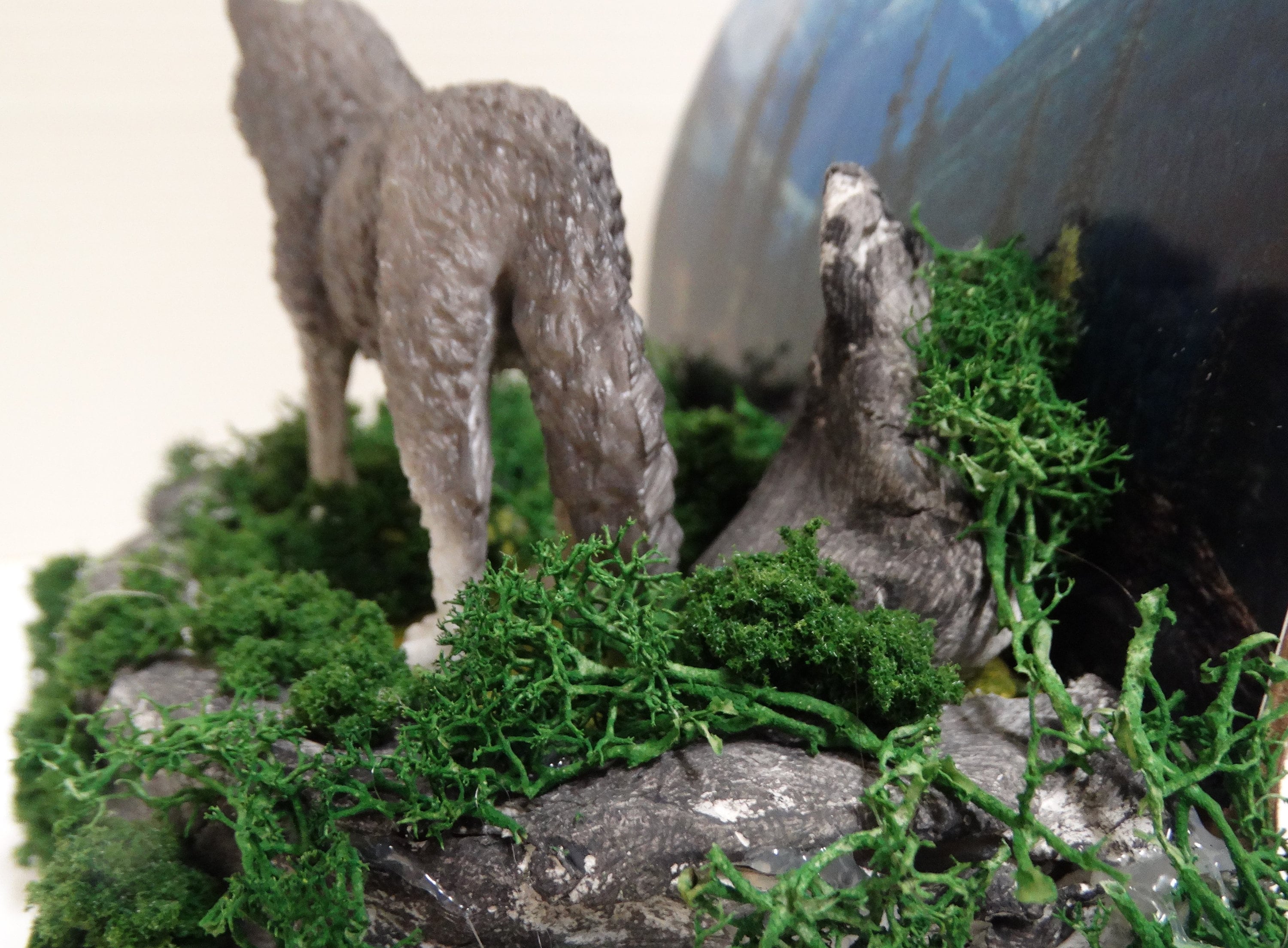 Gray Wolf Habitat Diorama