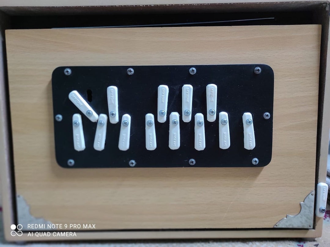 Shruti Box, Large and Small Pure Teak Wood Sur Peti With Form Bag ...