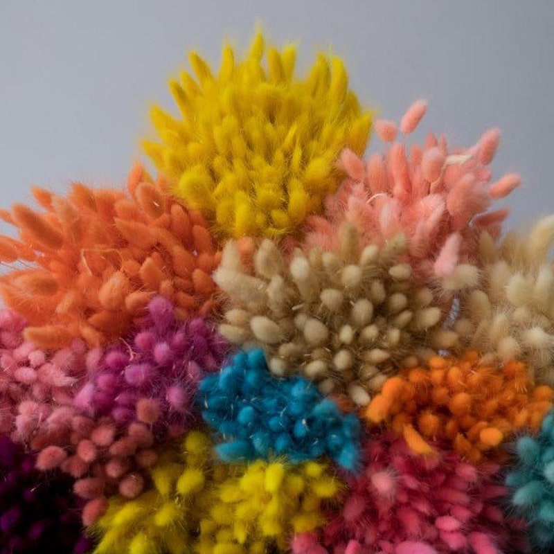 Orange Bunny Tails - Etsy UK