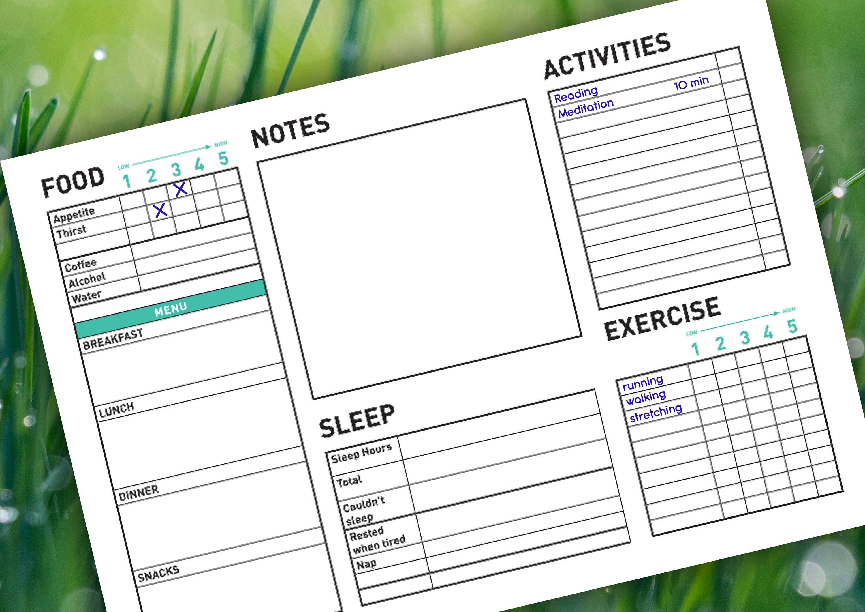 PRINTABLE Mint Color MS Symptom Daily Tracker - Etsy