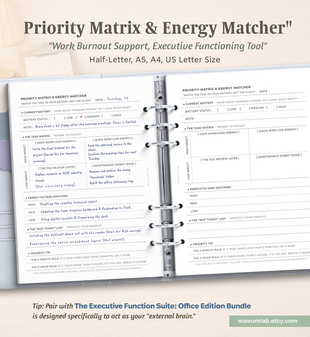 Energy Priority Matrix for Autism ADHD, Executive Function Planner ...