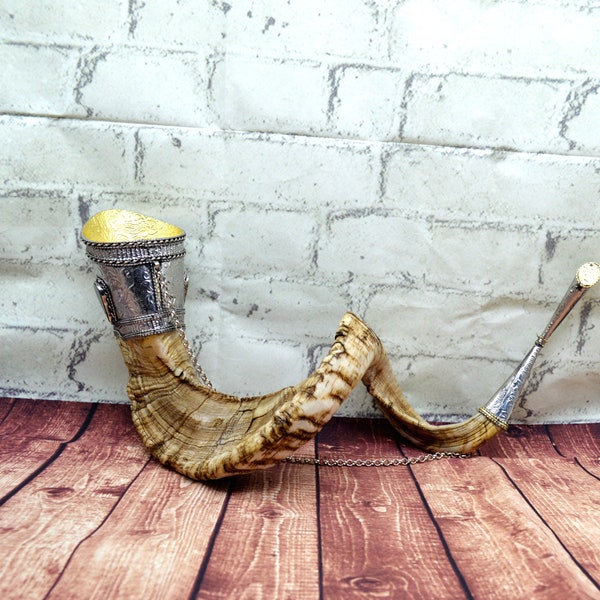 Drinking Horns - Etsy