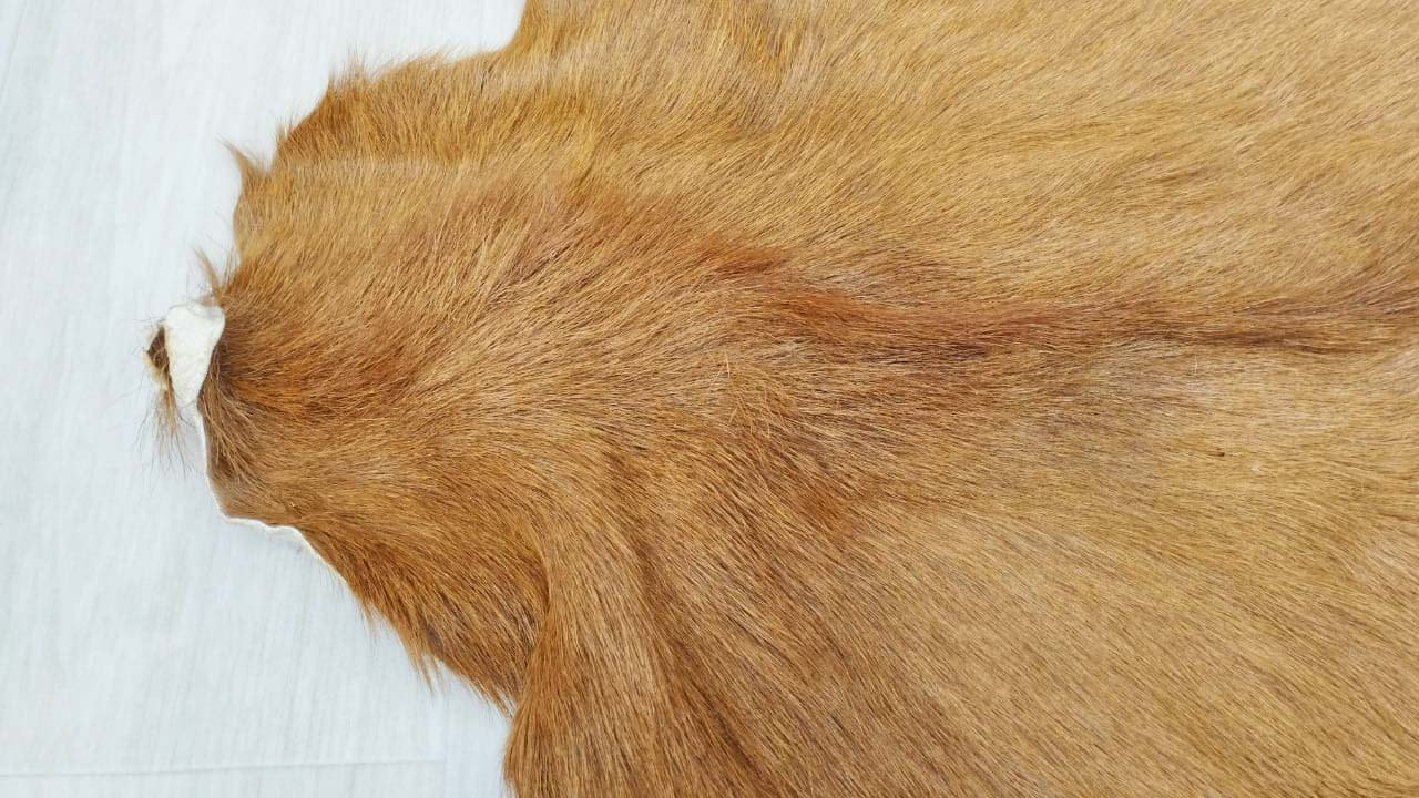 Genuine Goat Skin Rug Goat Hide Rug Goat Rug Leather Rug - Etsy