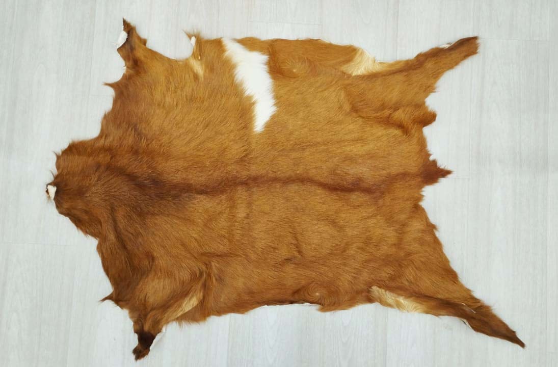 Genuine Goat Skin Rug, Goat Hide Rug, Goat Rug, Leather Rug Decor ...