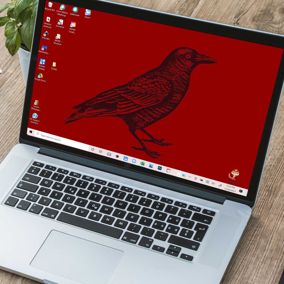 Wallpaper Pack - Animal Bundle - Original, Classy Decor for Computer ...