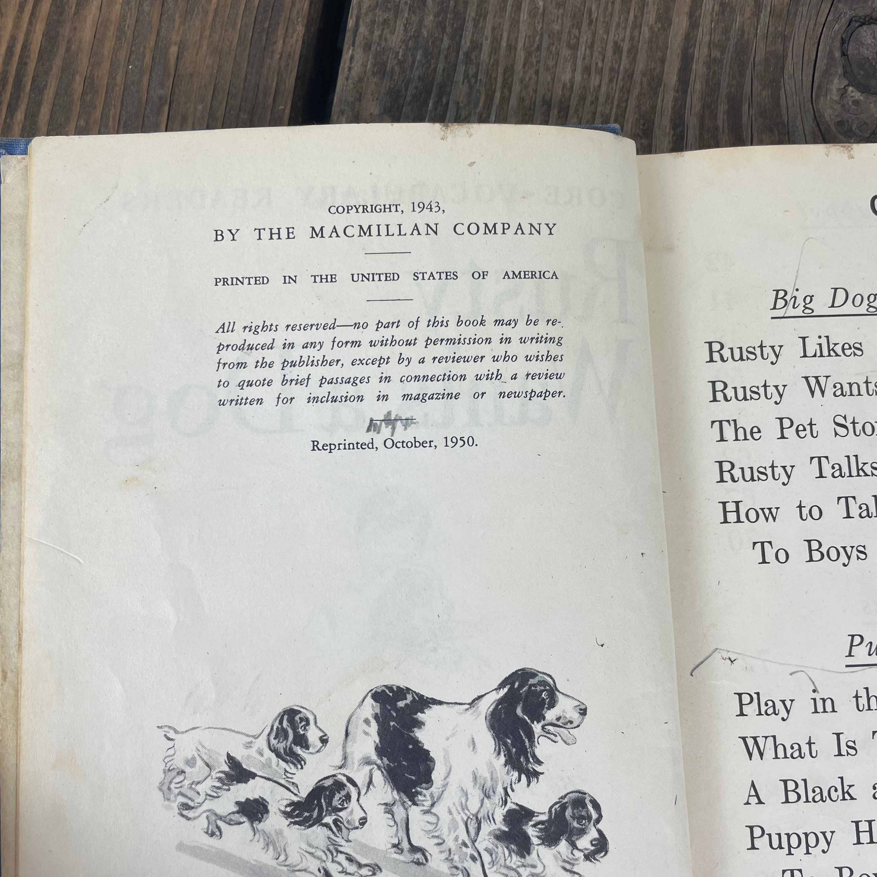 Vintage Collection of Childrens Books Rusty Wants a Dog Reeds ...