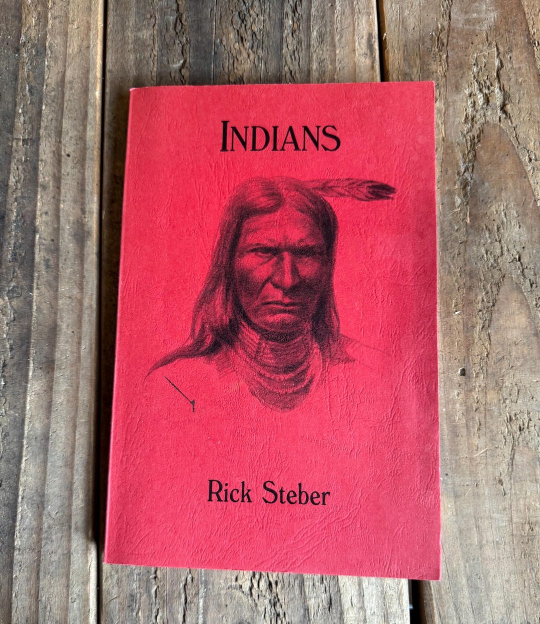 Vintage Book Indians by Rick Steber - Illustrations by Don Gray - 1989 ...