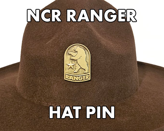 Fallout NCR Flag Enamel Pin RESTOCKED - Etsy