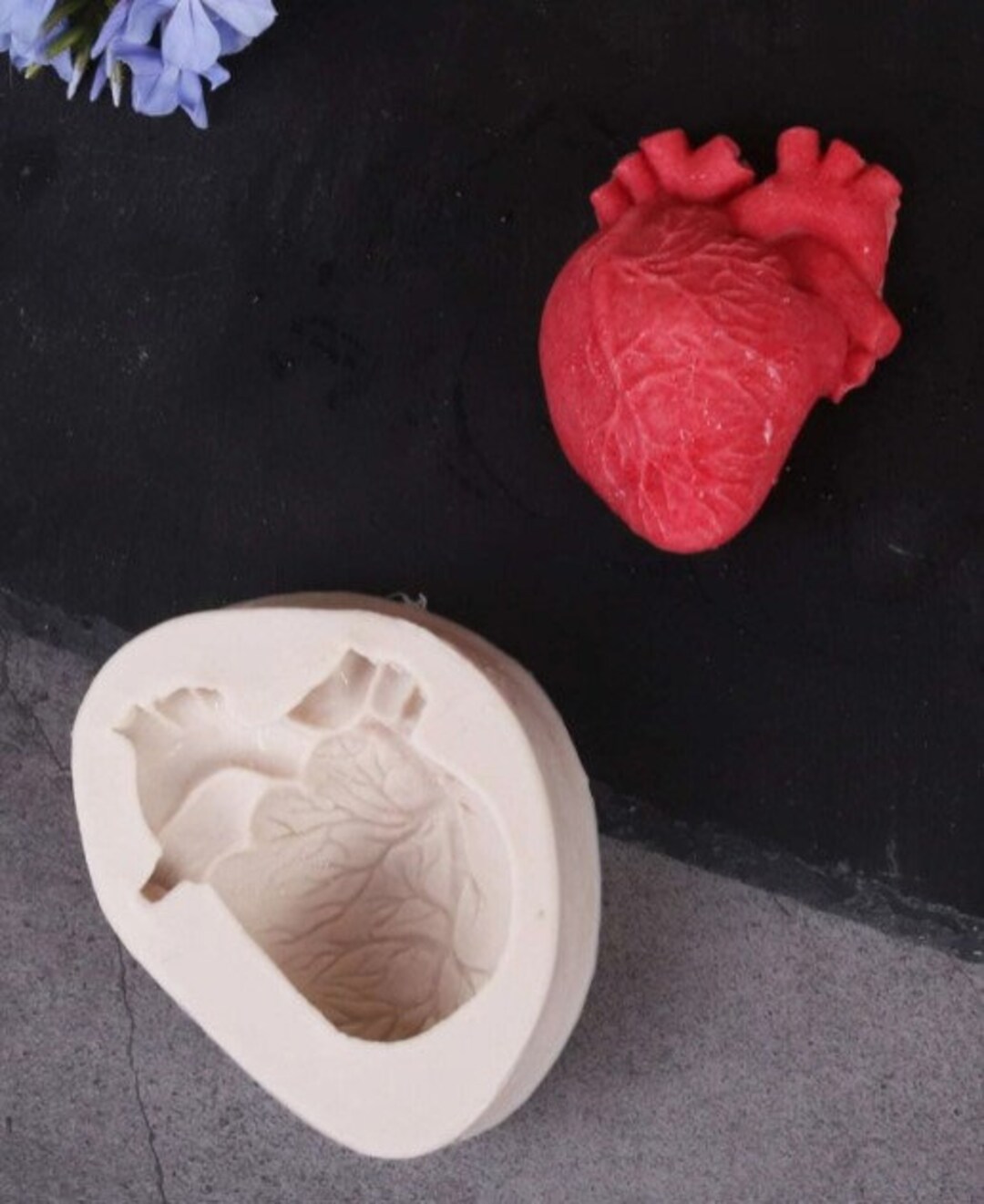 Human Heart Mold/anatomy - Etsy
