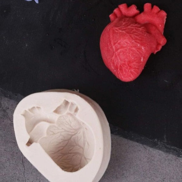 Human Heart Mold - Etsy