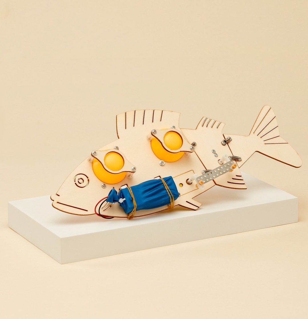DIY Kit Fish Robot Educational STEM Toy for Kids, Fun Science Crafts - Etsy