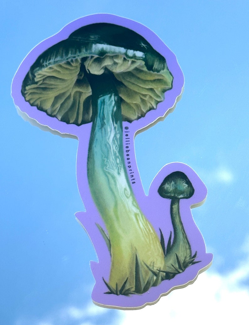 Parrot Wax Cap Mushroom Vinyl Sticker, Hand Drawn, Die Cut Sticker ...