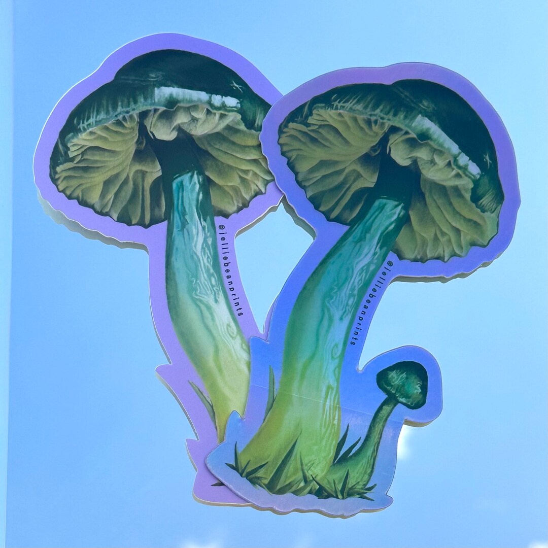 Parrot Wax Cap Mushroom Vinyl Sticker, Hand Drawn, Die Cut Sticker ...