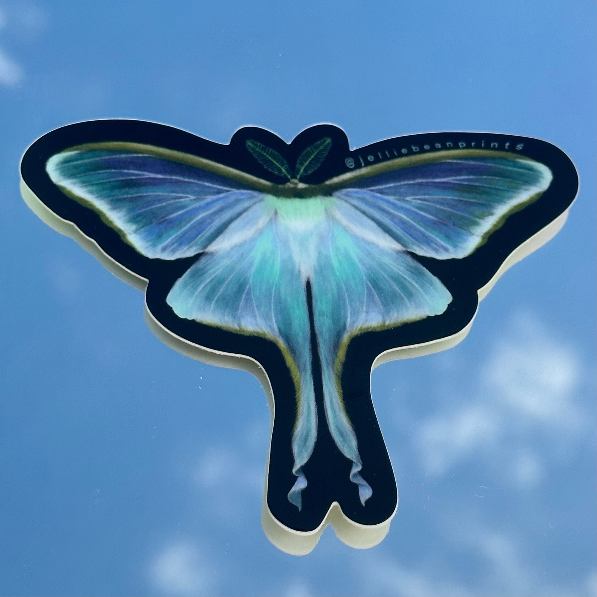 Luna Moth Vinyl Sticker, Hand Drawn, Die Cut Sticker, Blue, Green ...