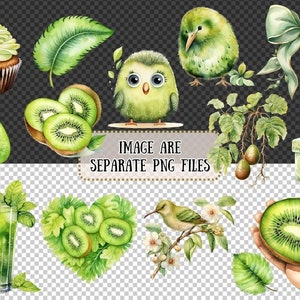 Watercolor Kiwi Clip Art - 17 PNG Watercolor Fruits Images Kiwi Art ...