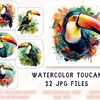 Watercolor Quail Bird PNG Transparent Background Quail Birds Clip Art ...