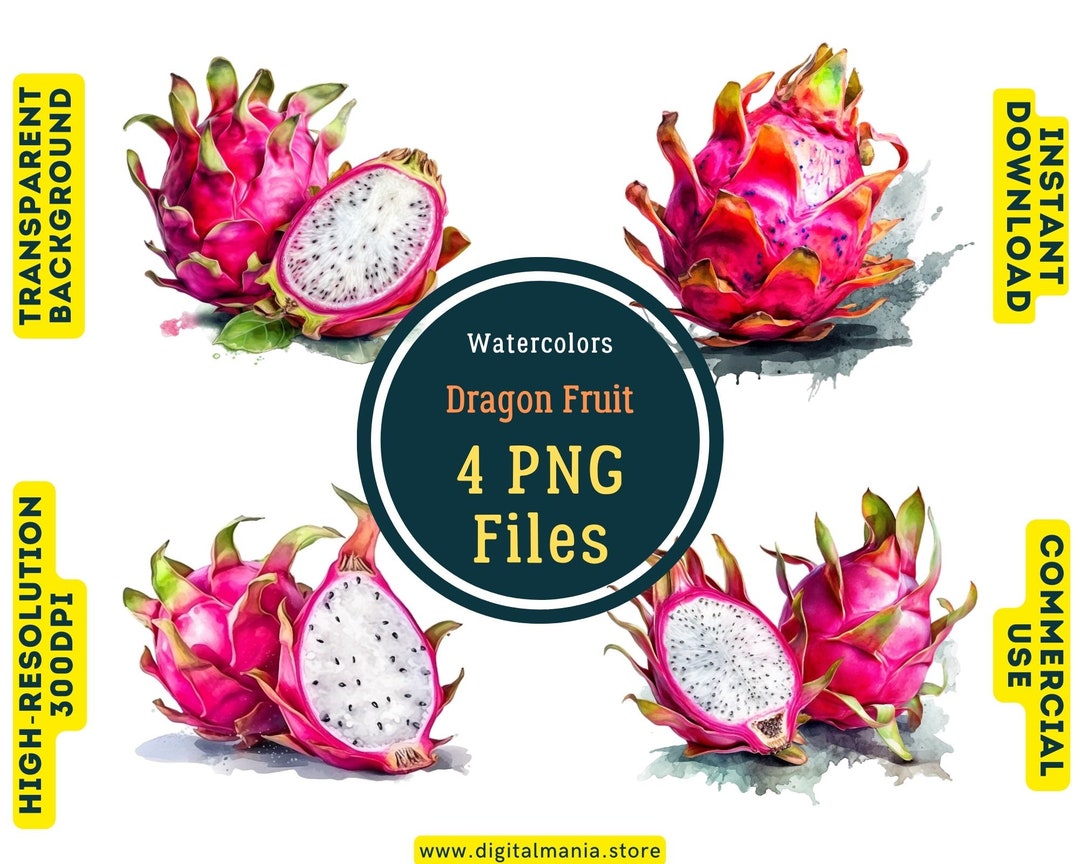 Dragon Fruit Watercolor PNG - Transparent Background - Dragon Fruit ...