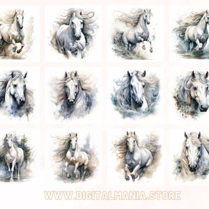 White Horses Watercolor Clip Art - Premium Quality 12 JPG - for Scrap ...