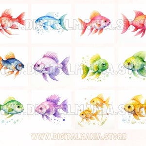 Colorful Fish Watercolor Clipart 12 JPG Fish Clip Art Fish - Etsy