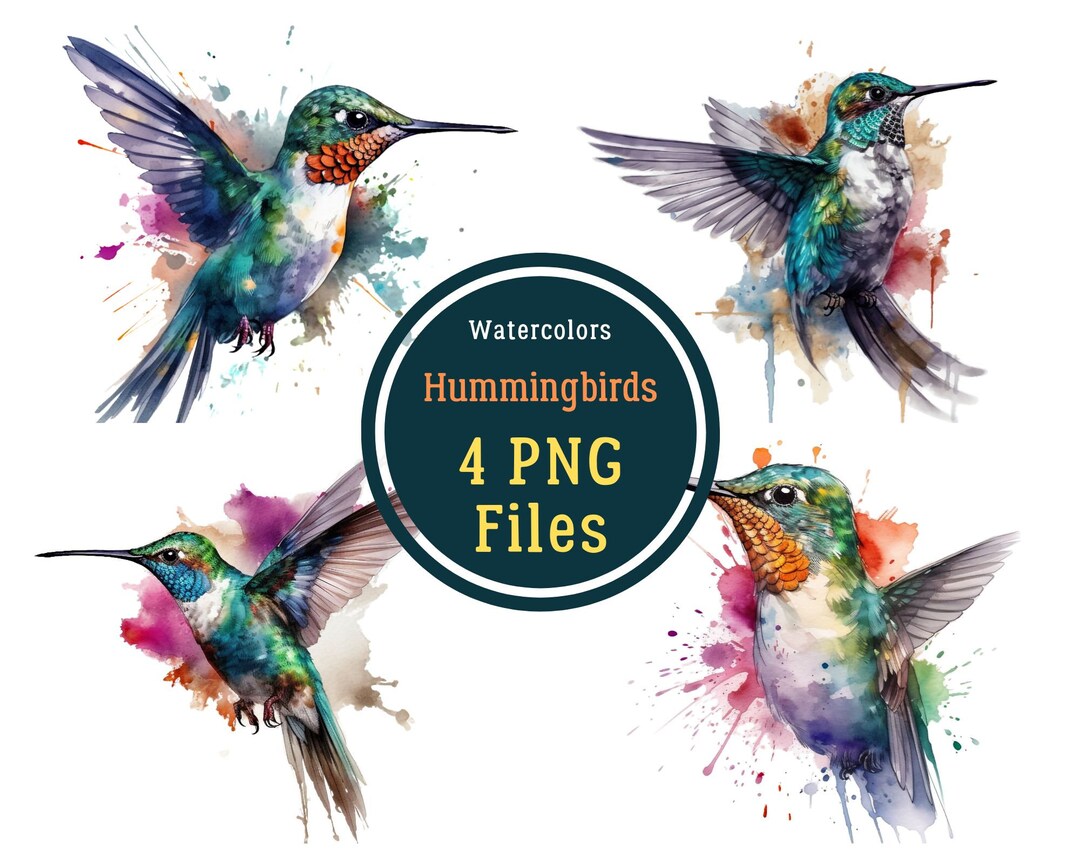 Watercolor Hummingbird PNG - Transparent Background - Hummingbird ...