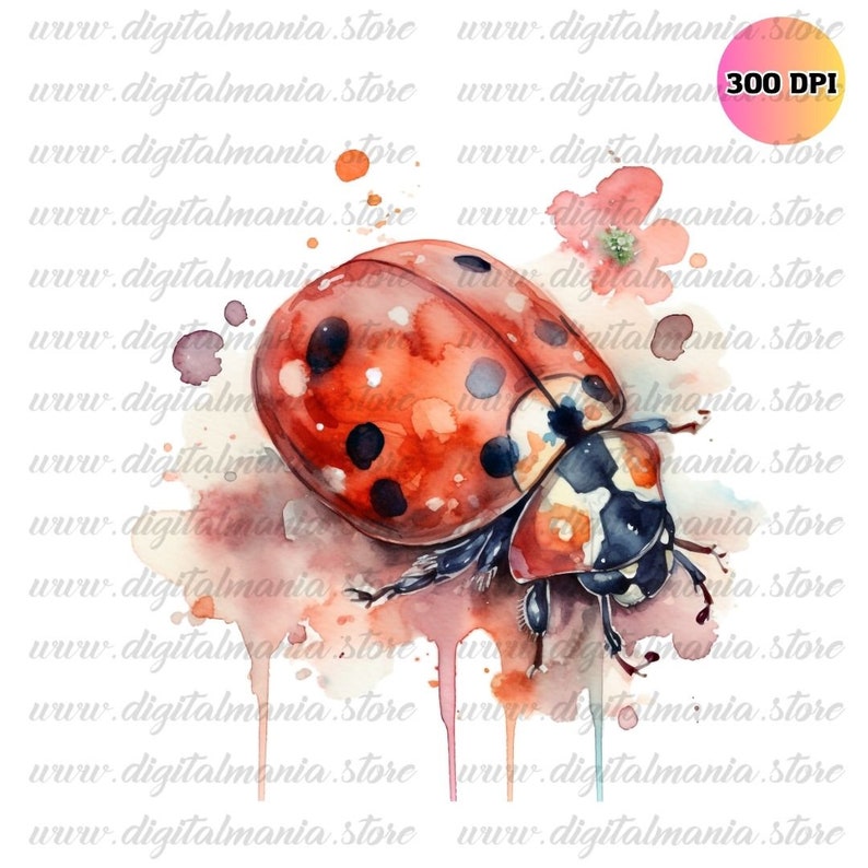 Watercolor Ladybugs PNG Transparent Background Red Ladybug - Etsy