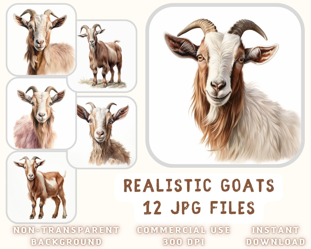 Realistic Goats Watercolor Clipart 12 JPG - Cute Goat Illustrations Mix ...