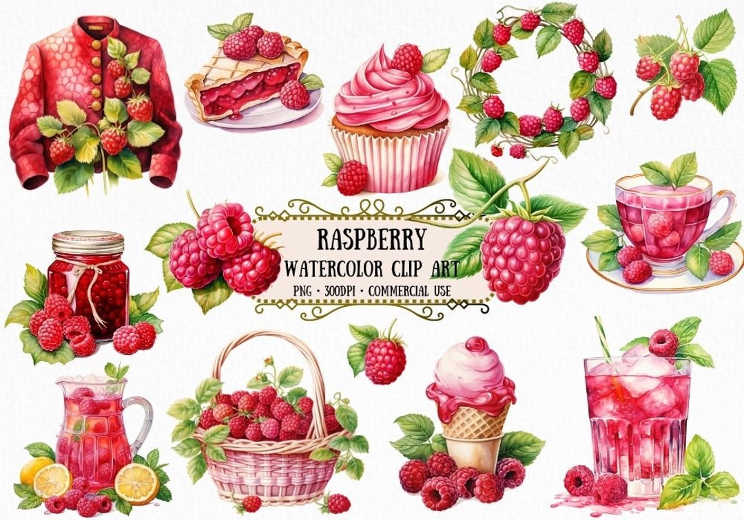 Watercolor Raspberry Clip Art - 17 PNG Watercolor Fruit Illustrations ...