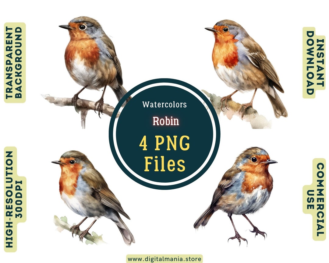 Watercolor Robin Birds PNG - Transparent Background - Robin Bird Clip ...