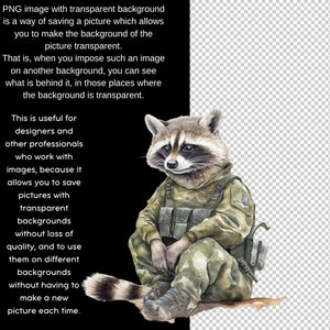 Stylish Raccoons in Army Uniform - Watercolor Clip Art Pack for Wall Art, Crafts & Scrapbooking ...