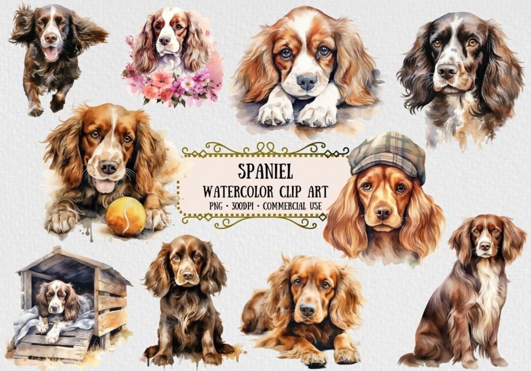Spaniel Dogs Watercolor Clip Art Spaniel Images Floral Spaniel Dog PNG ...