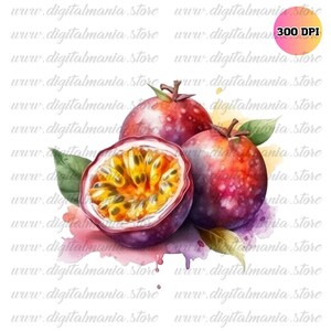 Watercolor Passion Fruit Transparent Fruit Clip Art, Crafting Bundle ...