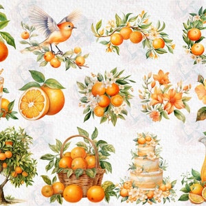 Watercolor Orange Clip Art - 14 PNG Watercolor Fruits Images Orange Art ...